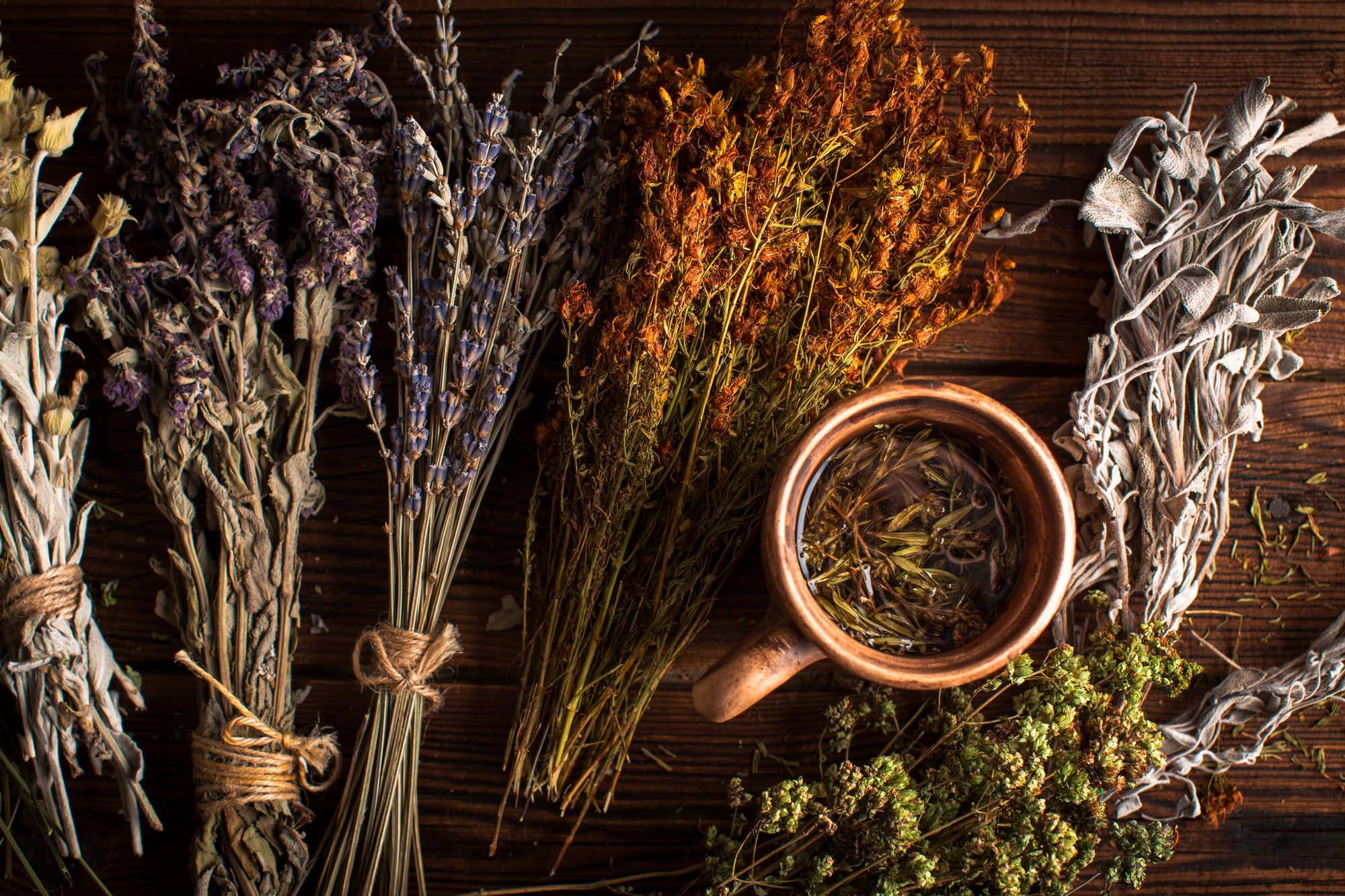 Wholesale Organic & Dried Herbs Online | Bulk Herbs Australia