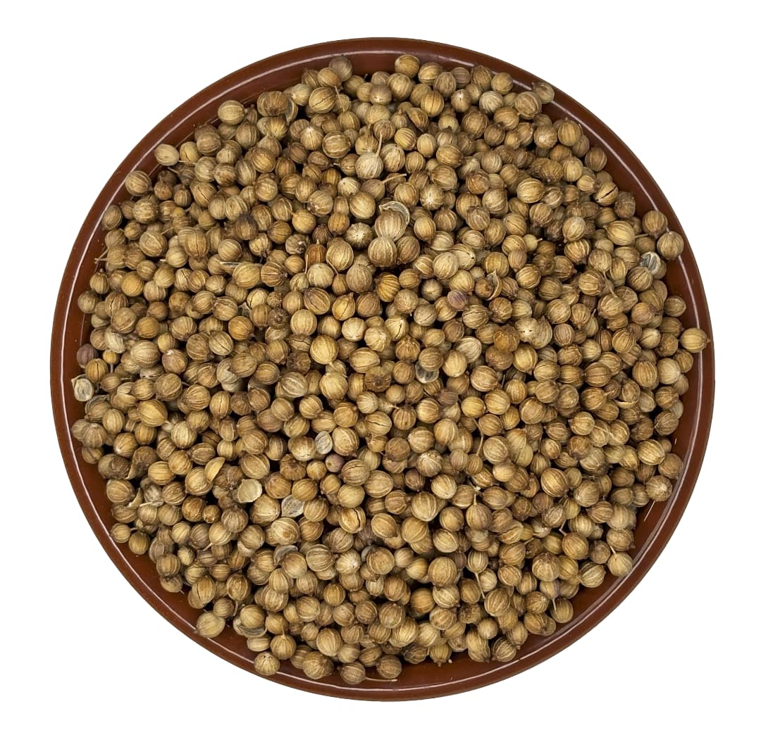 Organic Coriander Seeds | Essential Culinary Spice