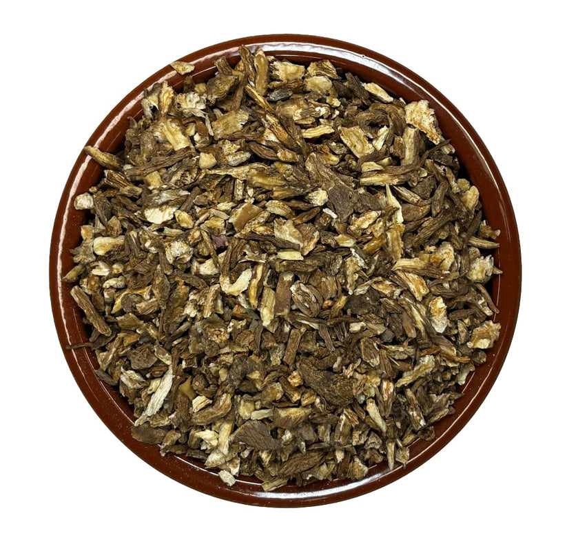 Dong Quai Root | Traditional Chinese Herb for Women’s Health