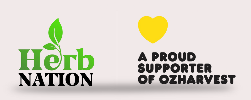 Lemon Myrtle: Australia’s Native Botanical Treasure